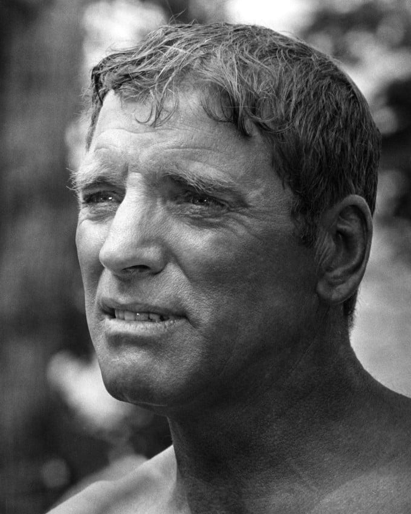 The Swimmer Burt Lancaster Handsome Portrait 24x36 Classic Hollywood ...