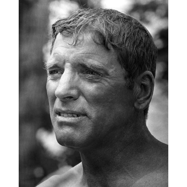 The Swimmer Burt Lancaster Handsome Portrait 24x36 Classic Hollywood ...
