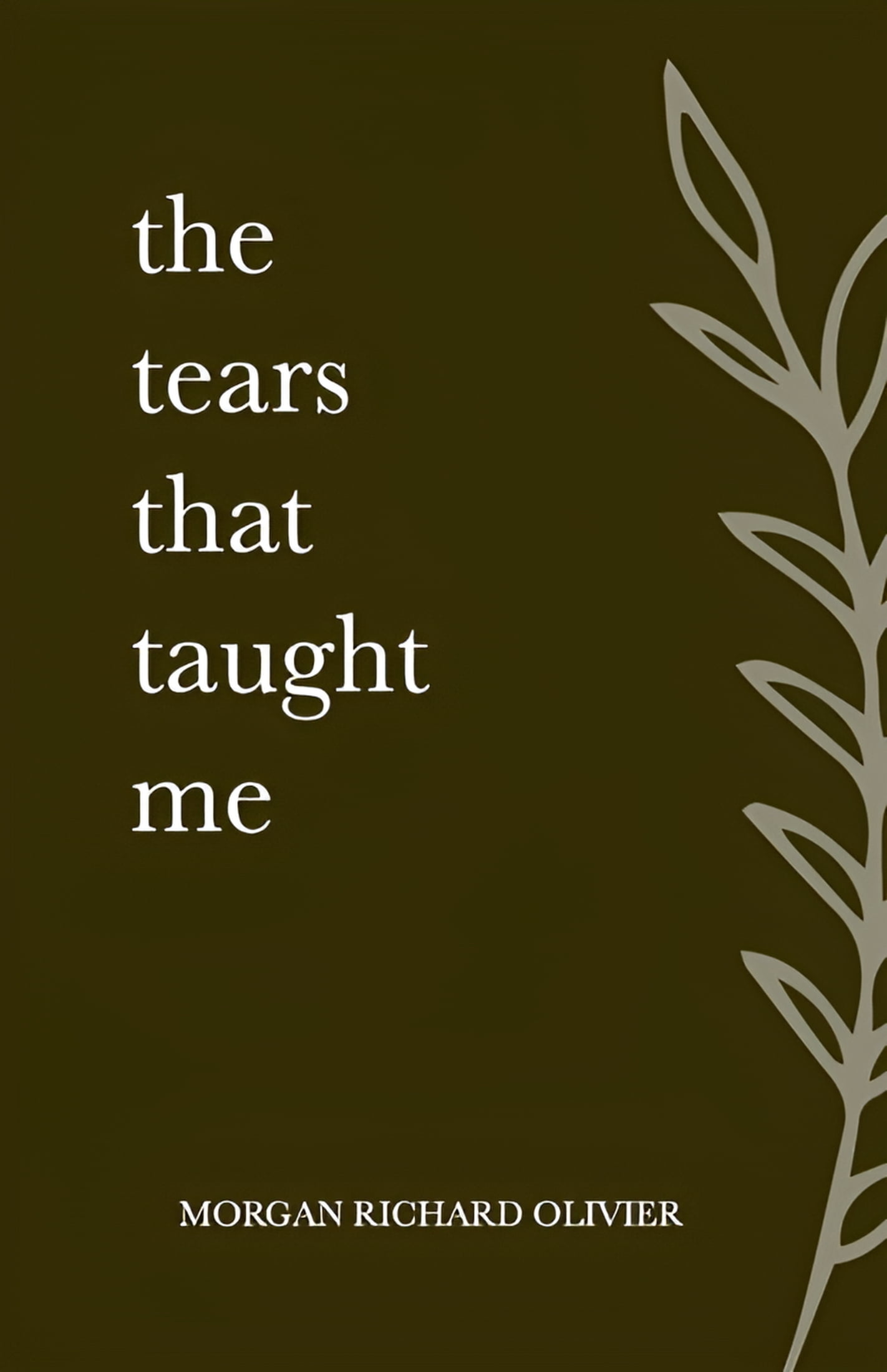 The Tears That Taught Me, (Paperback) - Walmart.com