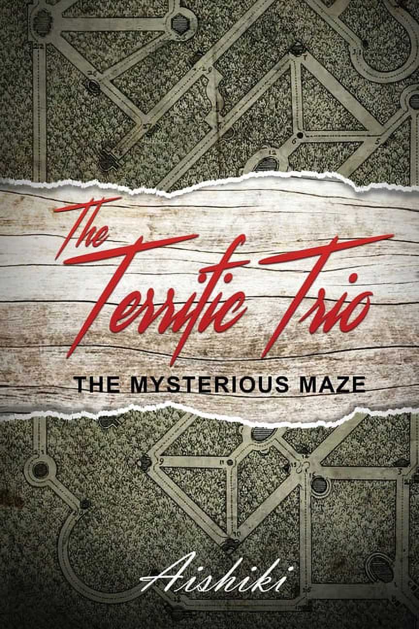 The Terrific Trio: The Terrific Trio : The Mysterious Maze (Series #2 ...