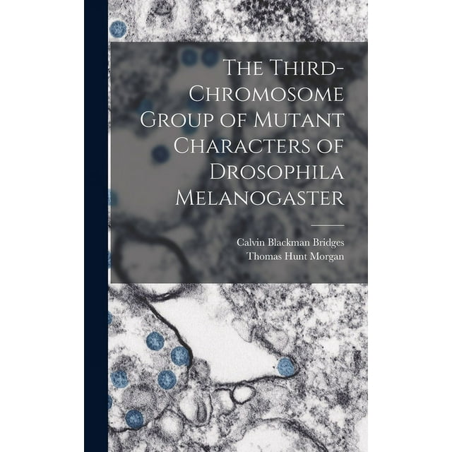 The Third-chromosome Group of Mutant Characters of Drosophila ...