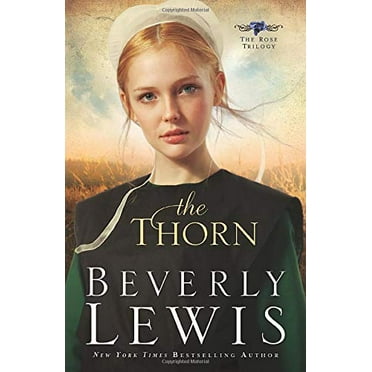 Mad Honey by Jodi Picoult (Hardcover) - Walmart.com