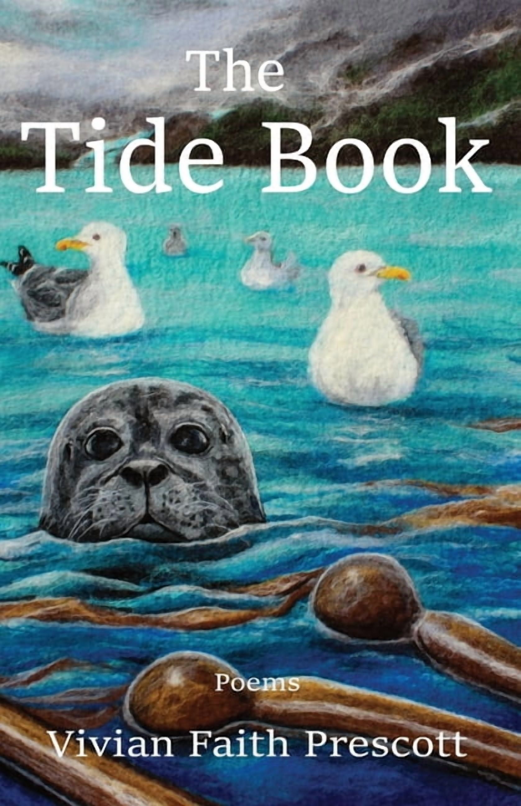 The Tide Book, (Paperback) - Walmart.com