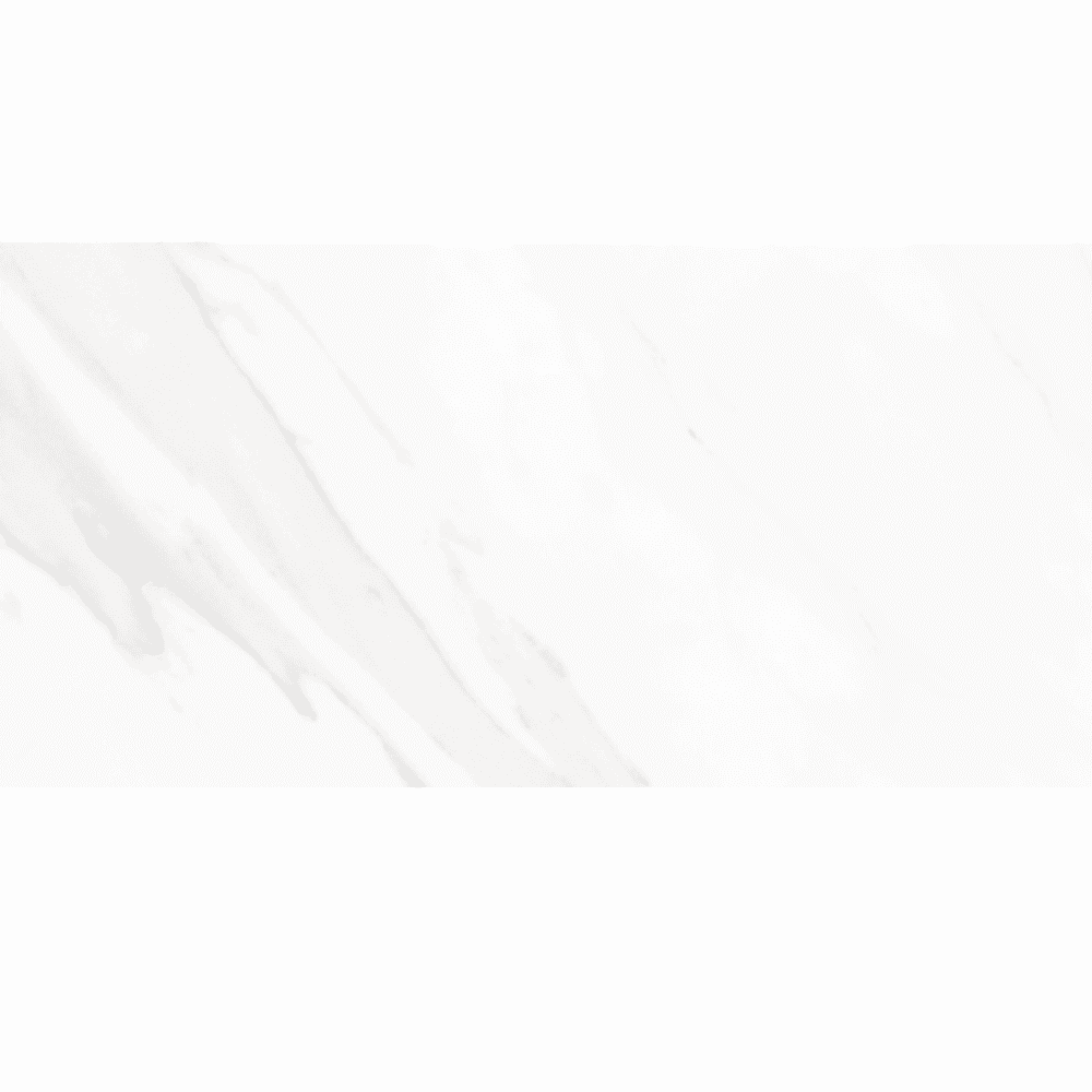 The Tile Life Delaney 24x48 Porcelain Floor and Wall Tile, Blanco ...