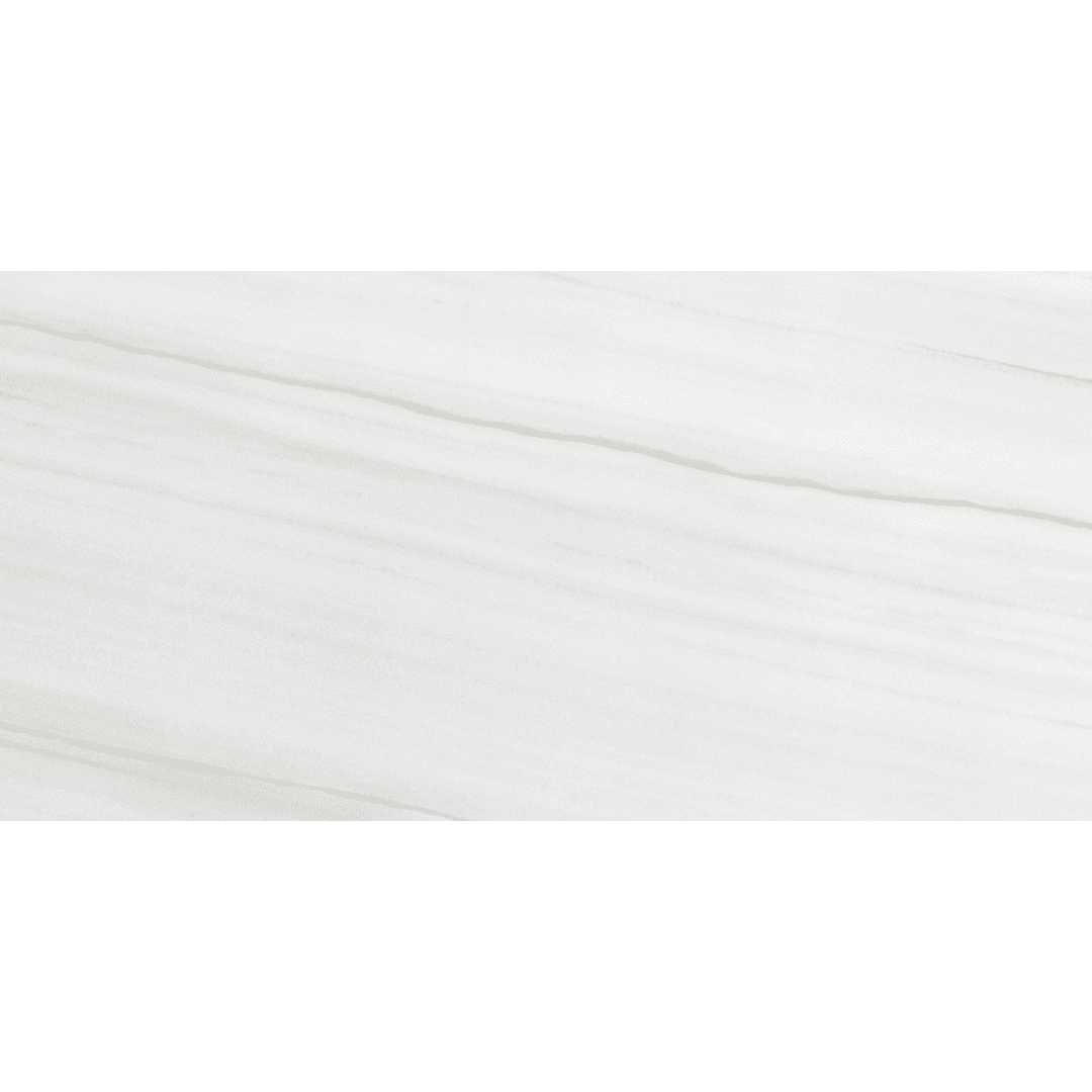 The Tile Life Kingsley 24" x 48" Blanco Rectangle Porcelain Floor and ...