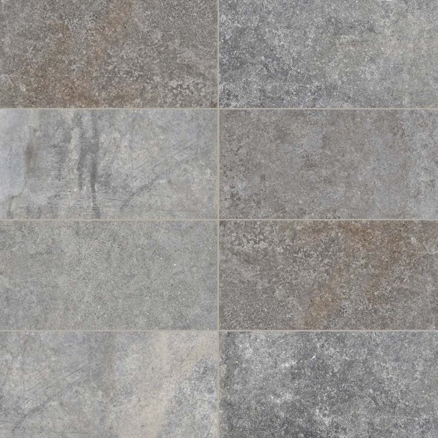 The Tile Life Wilds 12" x 24" Silver Matte Porcelain Floor and Wall ...