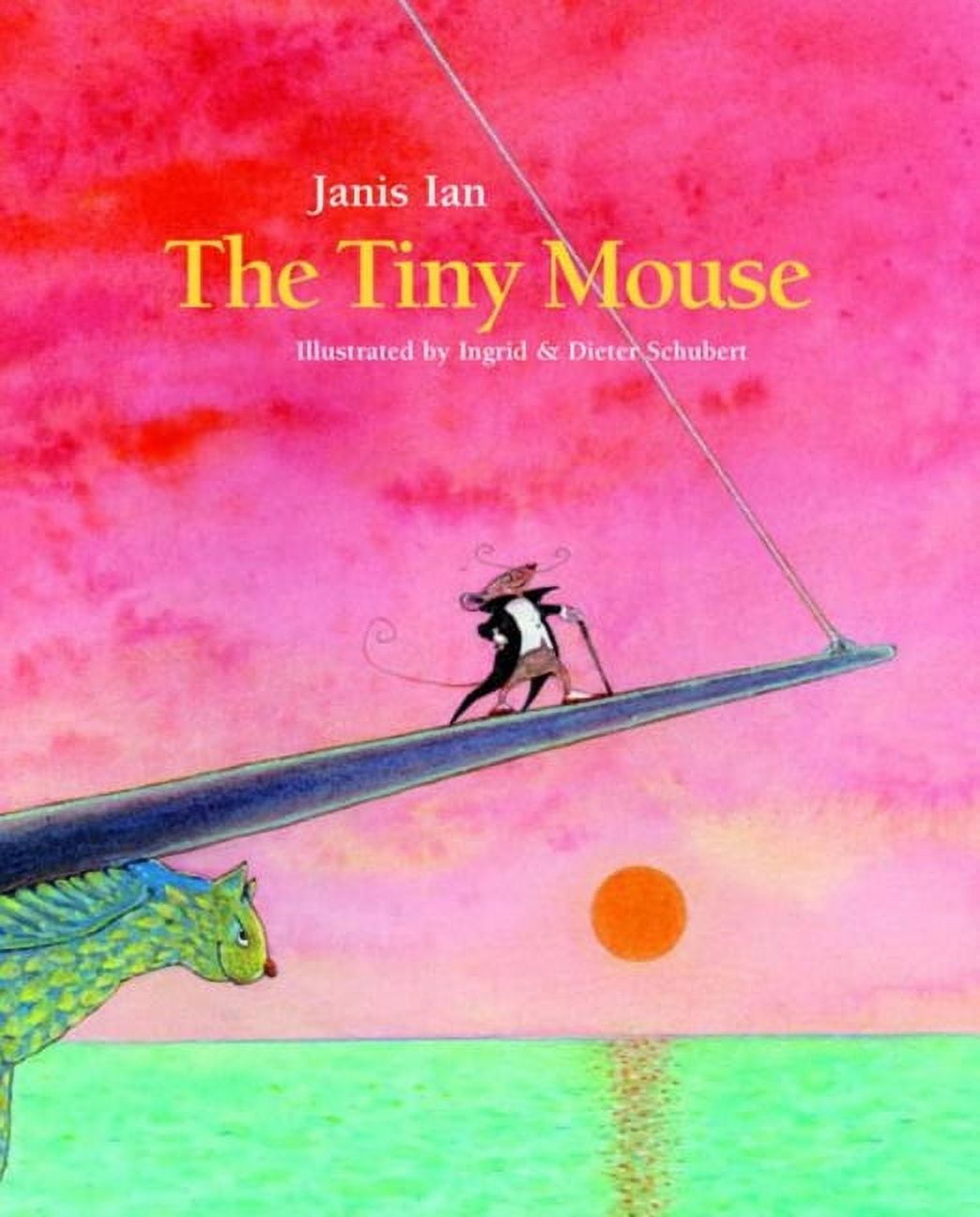 The Tiny Mouse (Hardcover) - Walmart.com