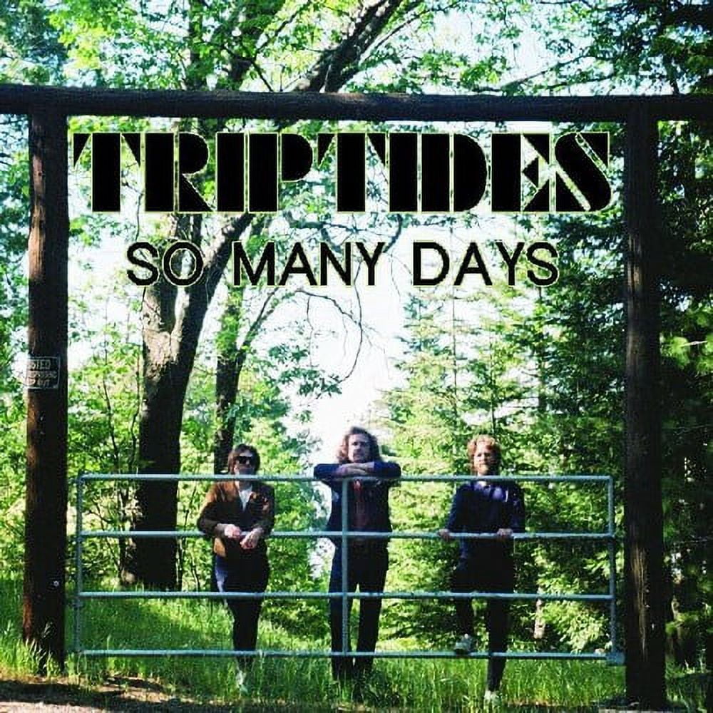 The Triptides - So Many Days - Music & Performance - Vinyl - Walmart.com
