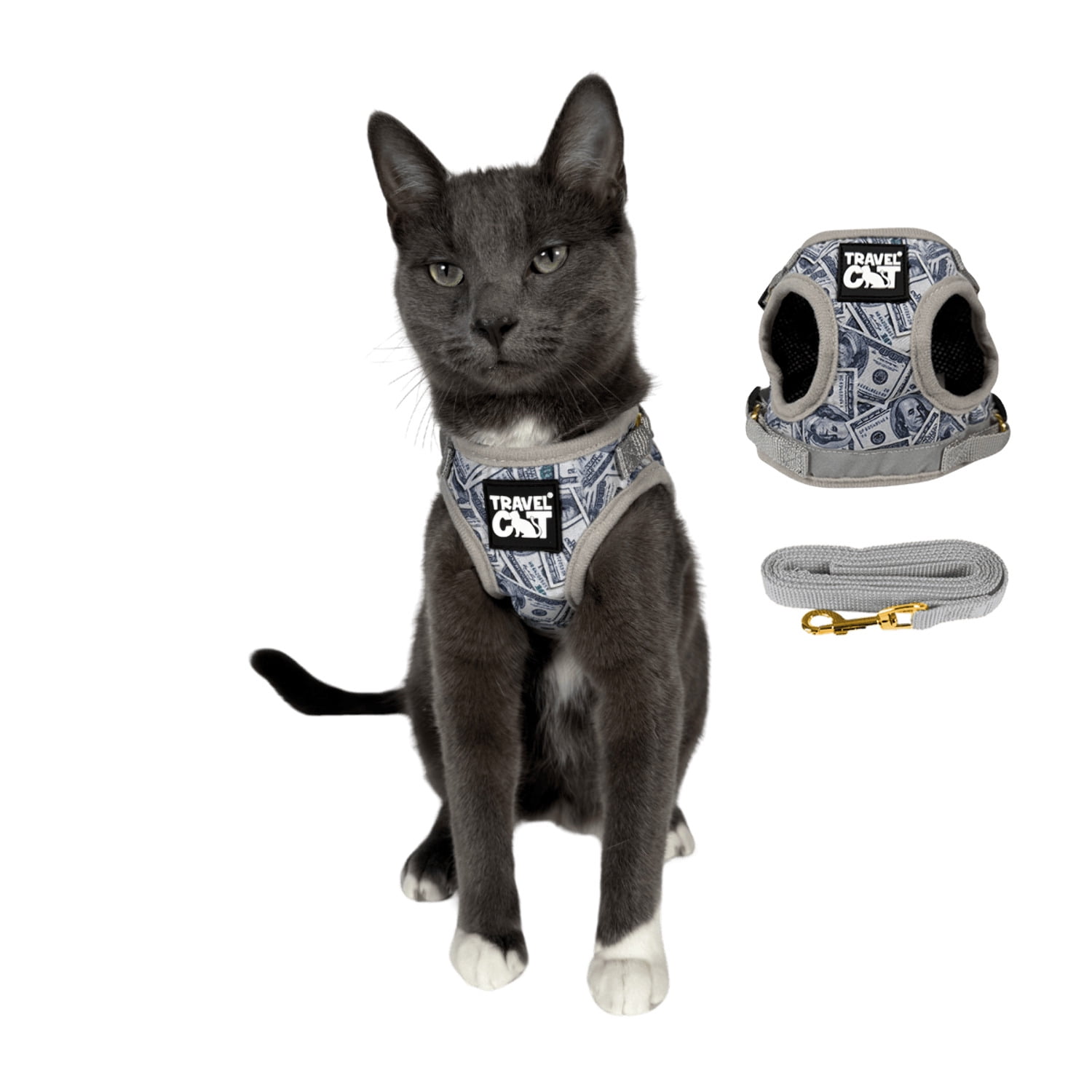 "The True Adventurer" Reflective Cat Kitten Harness and Leash - Walmart.com