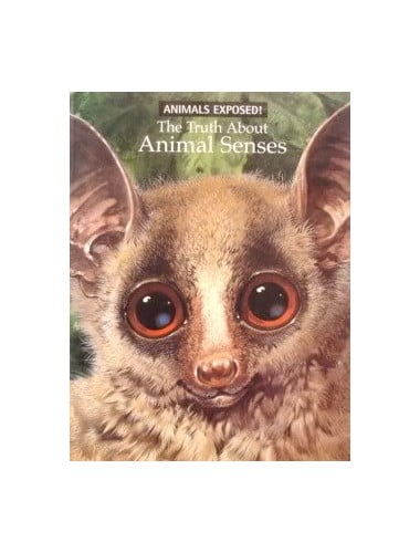 Pre-Owned The Truth About Animal Senses (Animals Exposed!) (Paperback ...