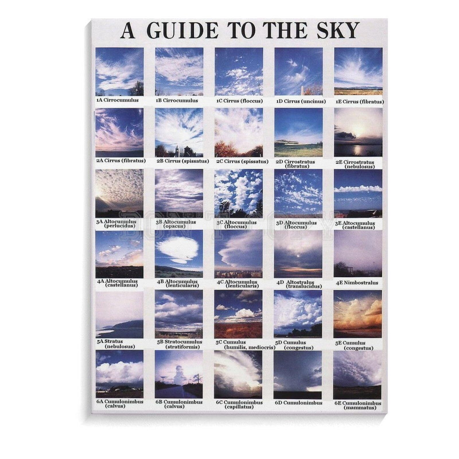 The Types of Clouds Poster,Cloud Chart Poster (1) Canvas Painting Wall ...