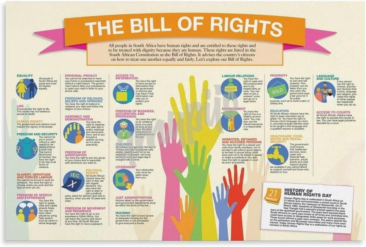 The U.S. Constitution And The Bill of Rights History Classroom Poster ...