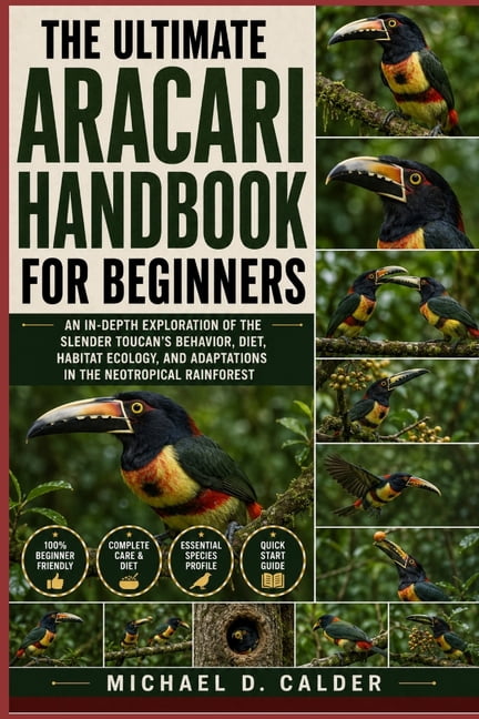 The Ultimate Aracari Handbook for Beginners: An In-Depth Exploration of ...