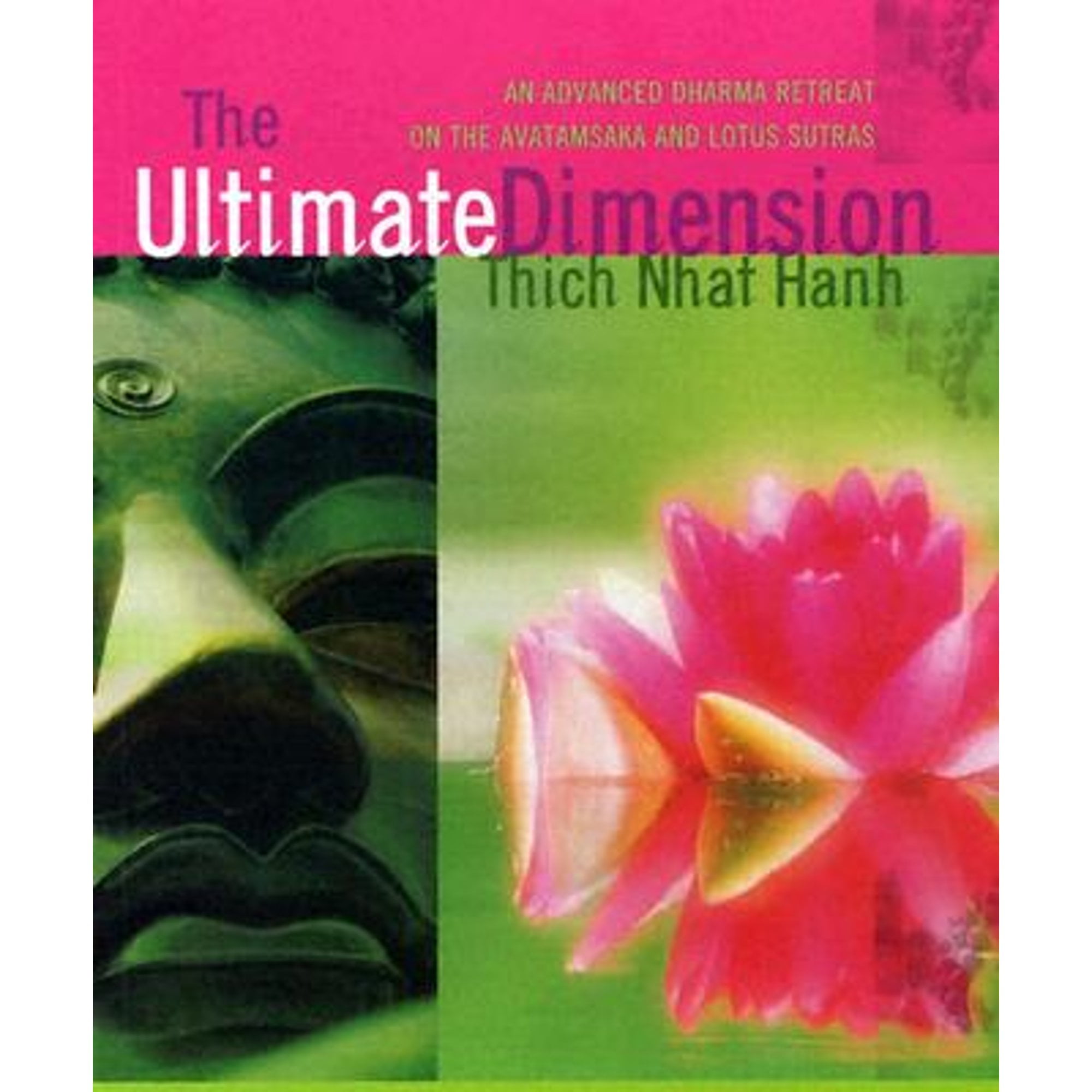 Pre-Owned The Ultimate Dimension Paperback - USED - Walmart.com