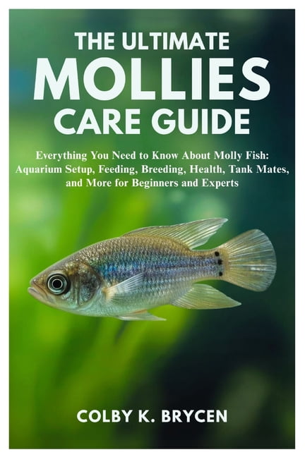 The Ultimate Mollies Care Guide: Everything You Need to Know About ...