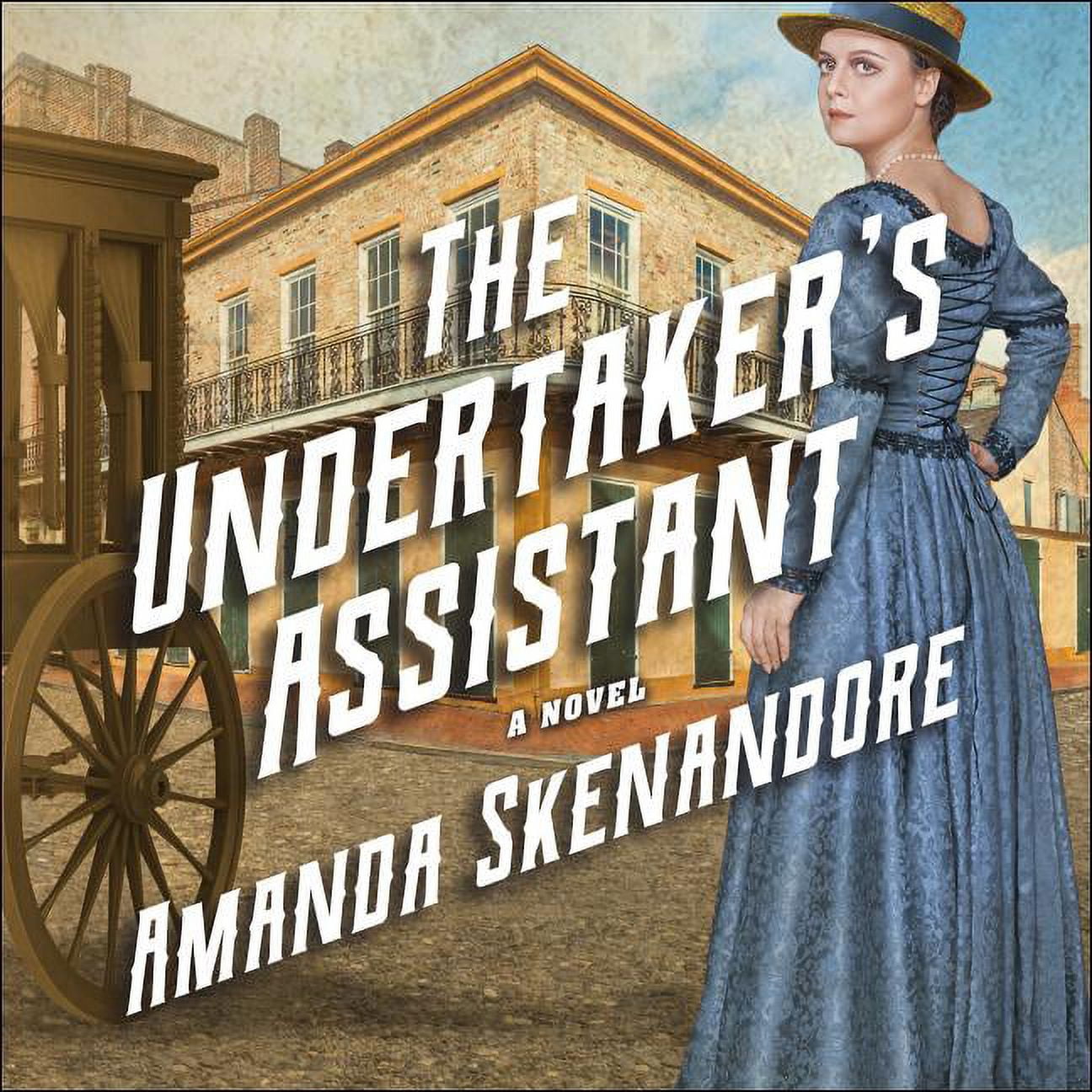 The Undertaker's Assistant (Audiobook) - Walmart.com