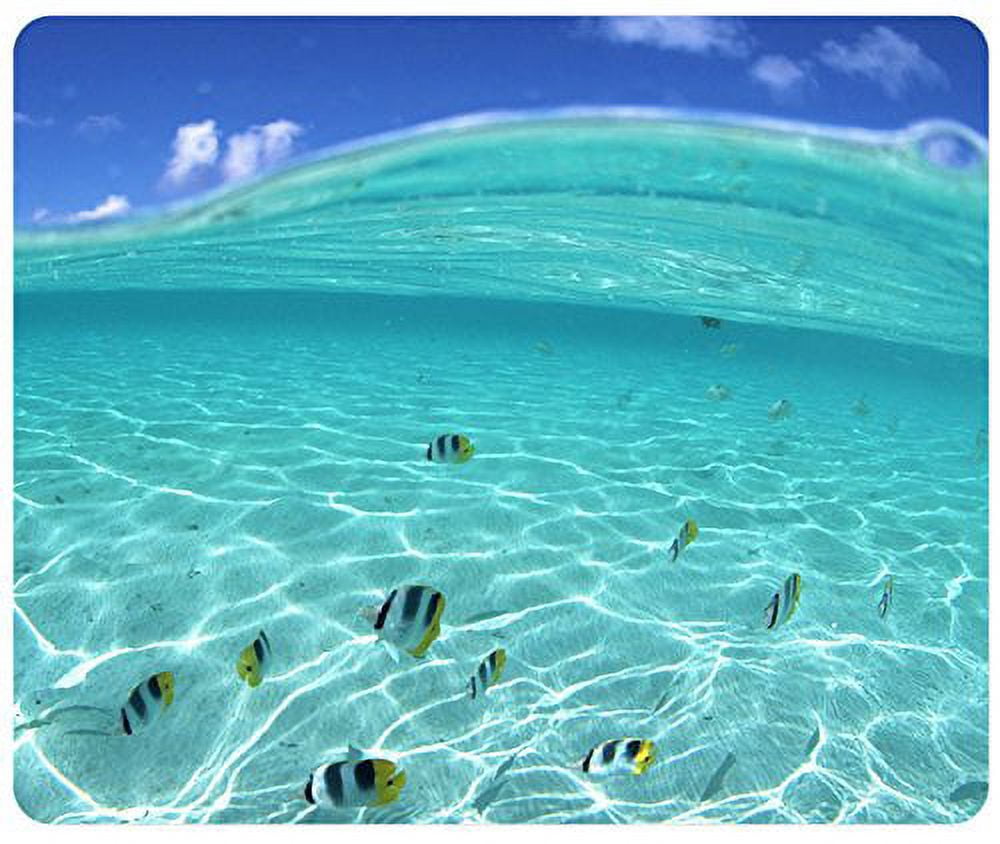 The Underwater World Of Hawaii Mouse pads Gaming Mouse Pad 9.84x7.87 ...