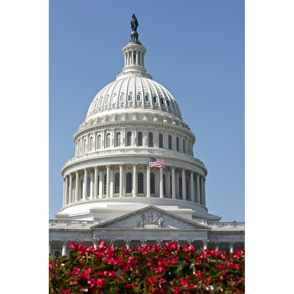 The United States Capitol building dome and statue Poster Print ...