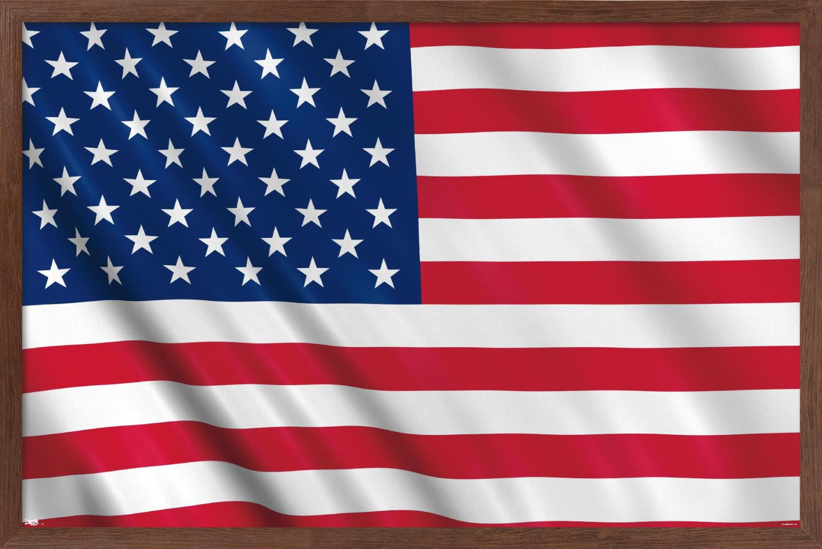 The United States Of America - Flag Wall Poster, 22.375" x 34", Framed ...
