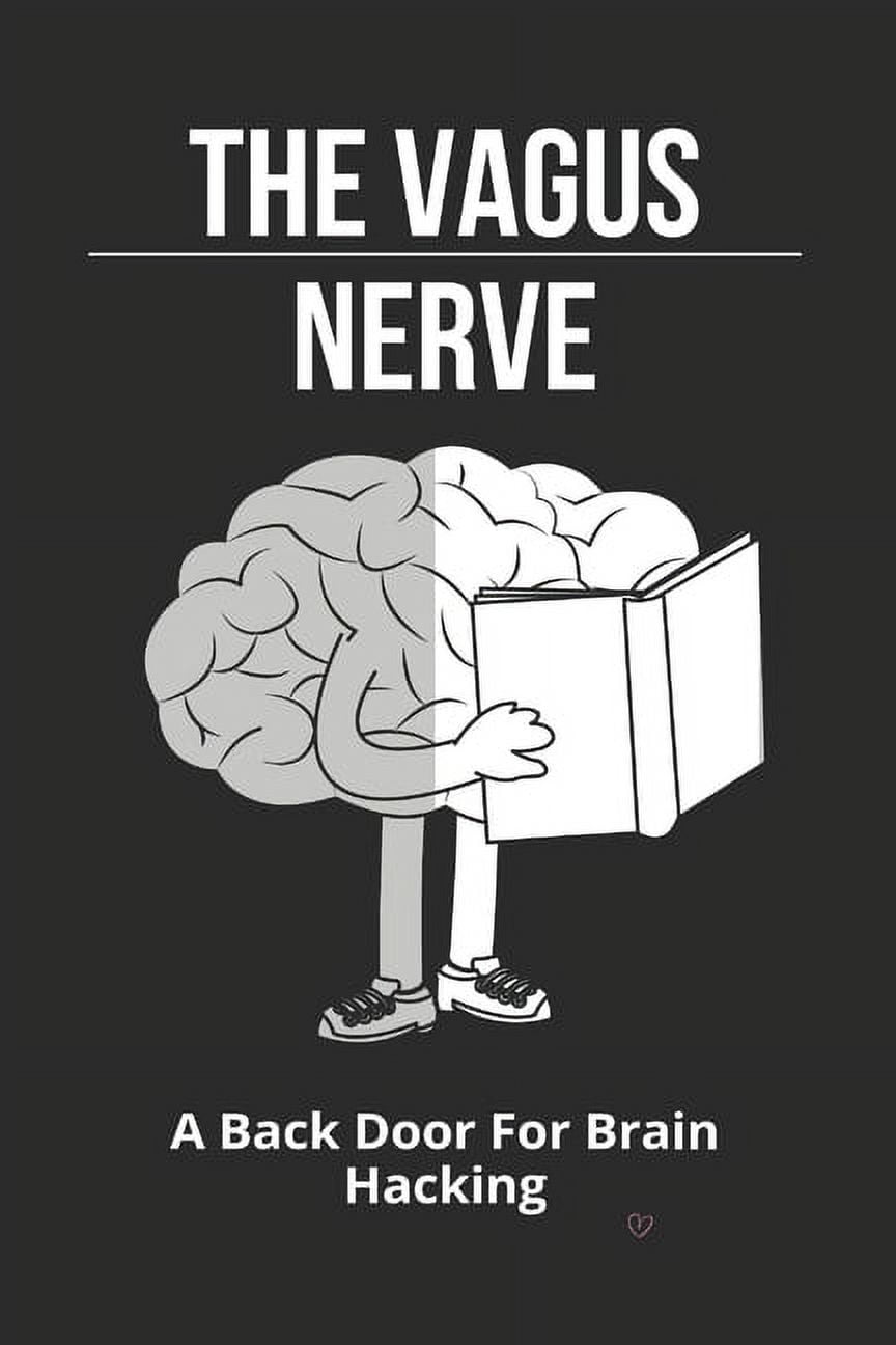 Function Vagus Nerve