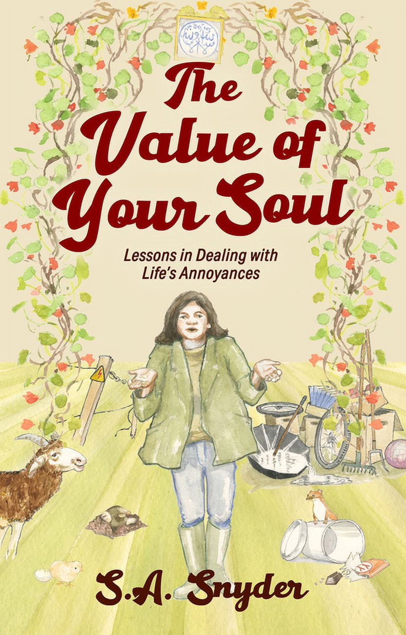 The Value of Your Soul: Lessons in Dealing with Life's Annoyances ...