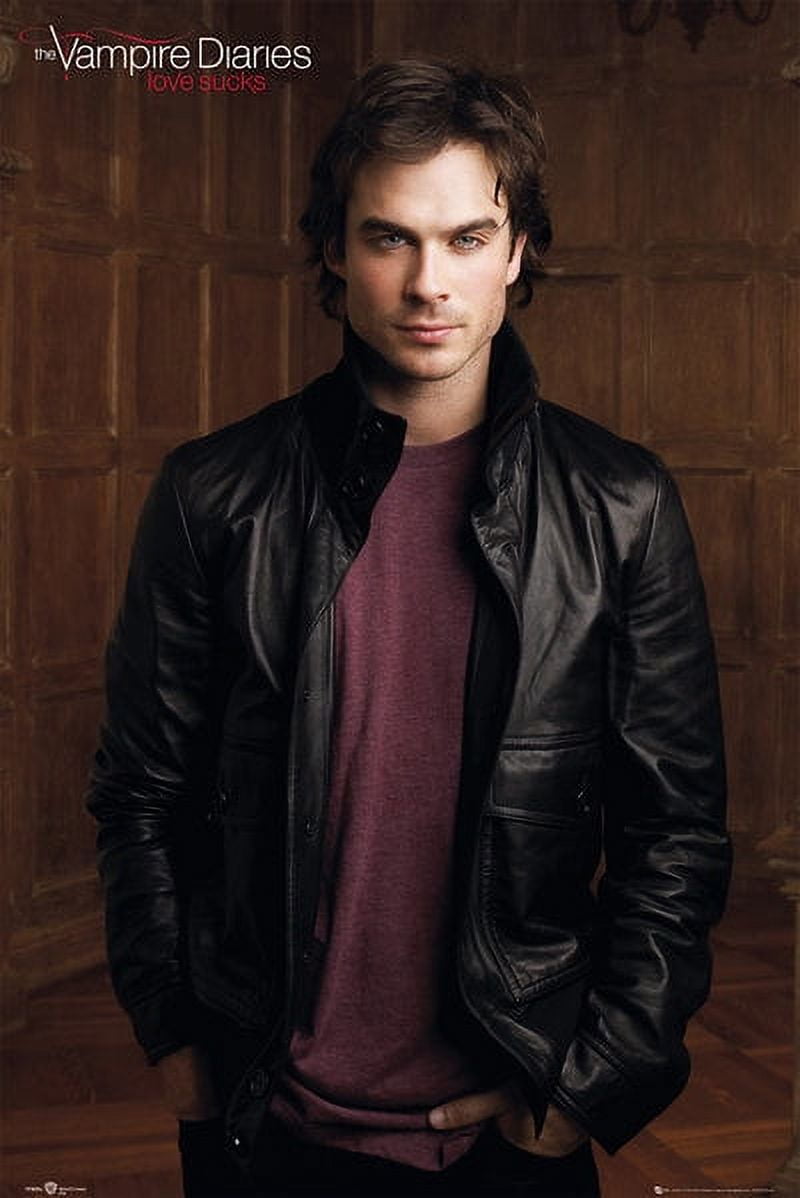 Vampire Diaries Damon Poster