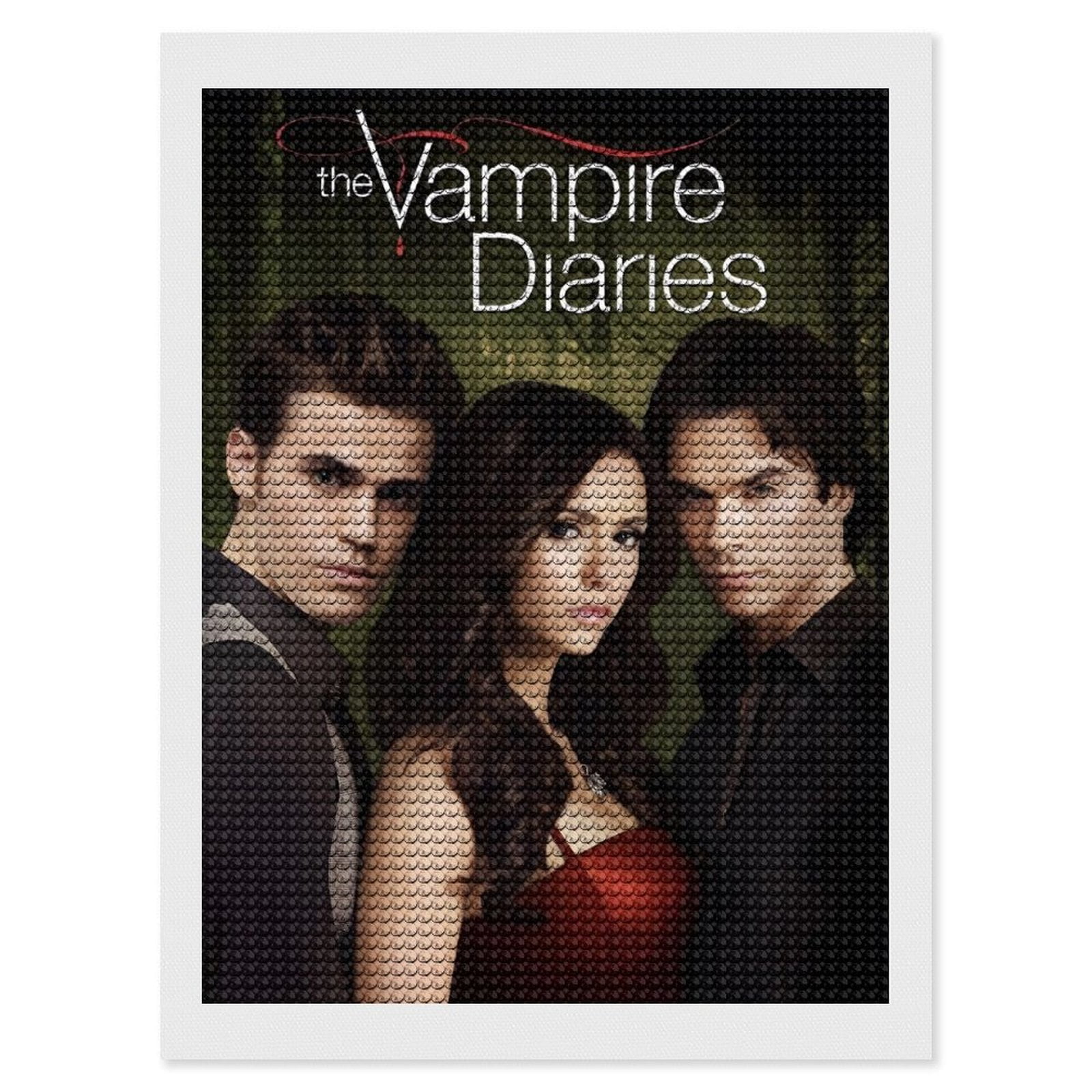 The Vampire Diaries Diamond Painting Kits, DIY Handmade Poster Picture ...