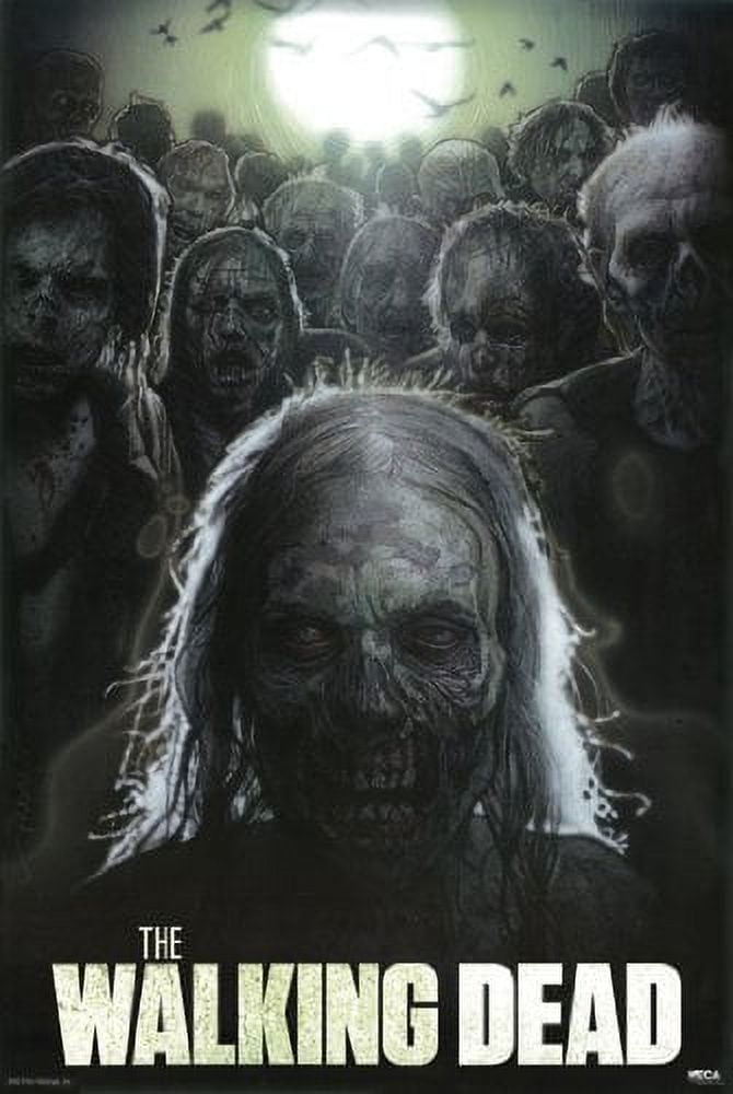 The Walking Dead Poster Scarry New 24x36 - Walmart.com