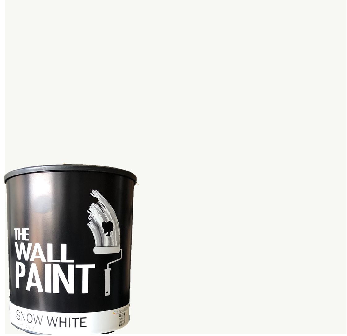 The Wall Paint One Coat, Interior/Exterior, Flat, Snow White, 1 Gallon ...