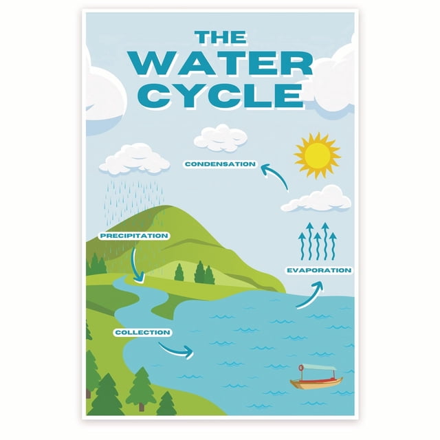 The Water Cycle Poster - Water Cycle Visual Aid - Water Cycle Diagram ...