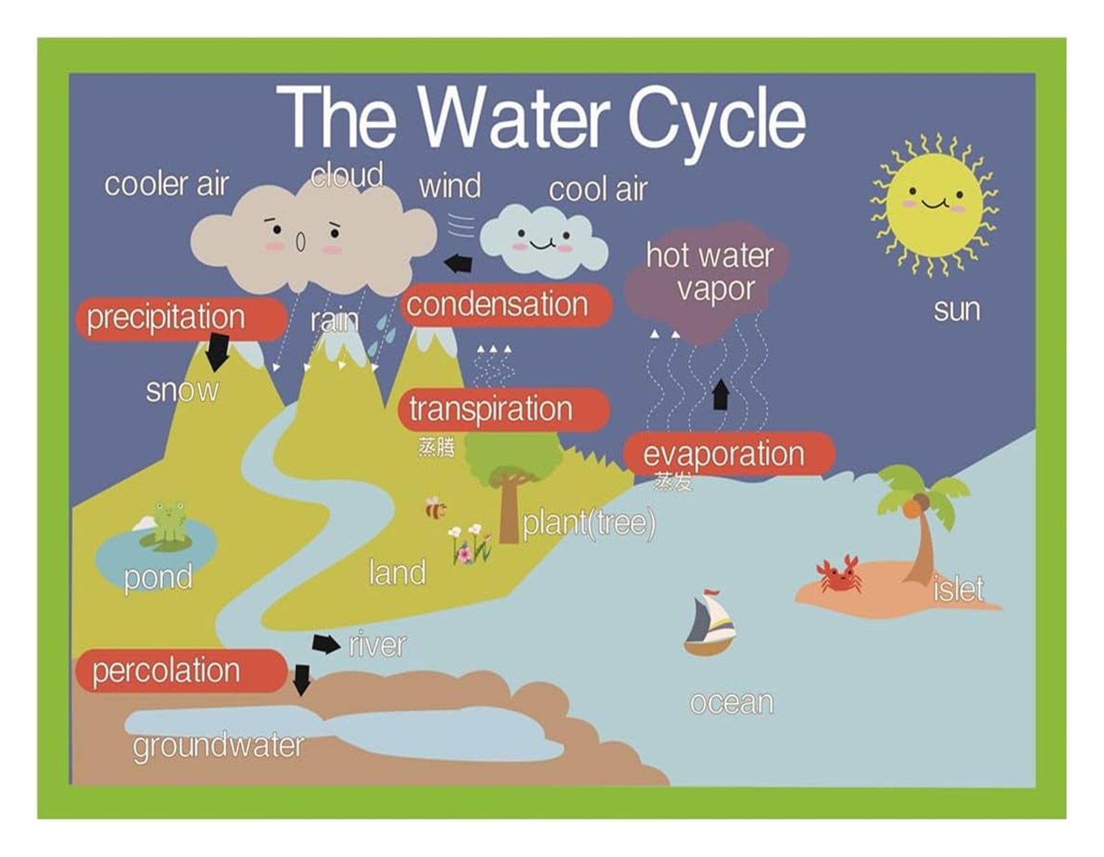 The Water Cycle Science Poster for Kids - Explore How Rain Moves in ...