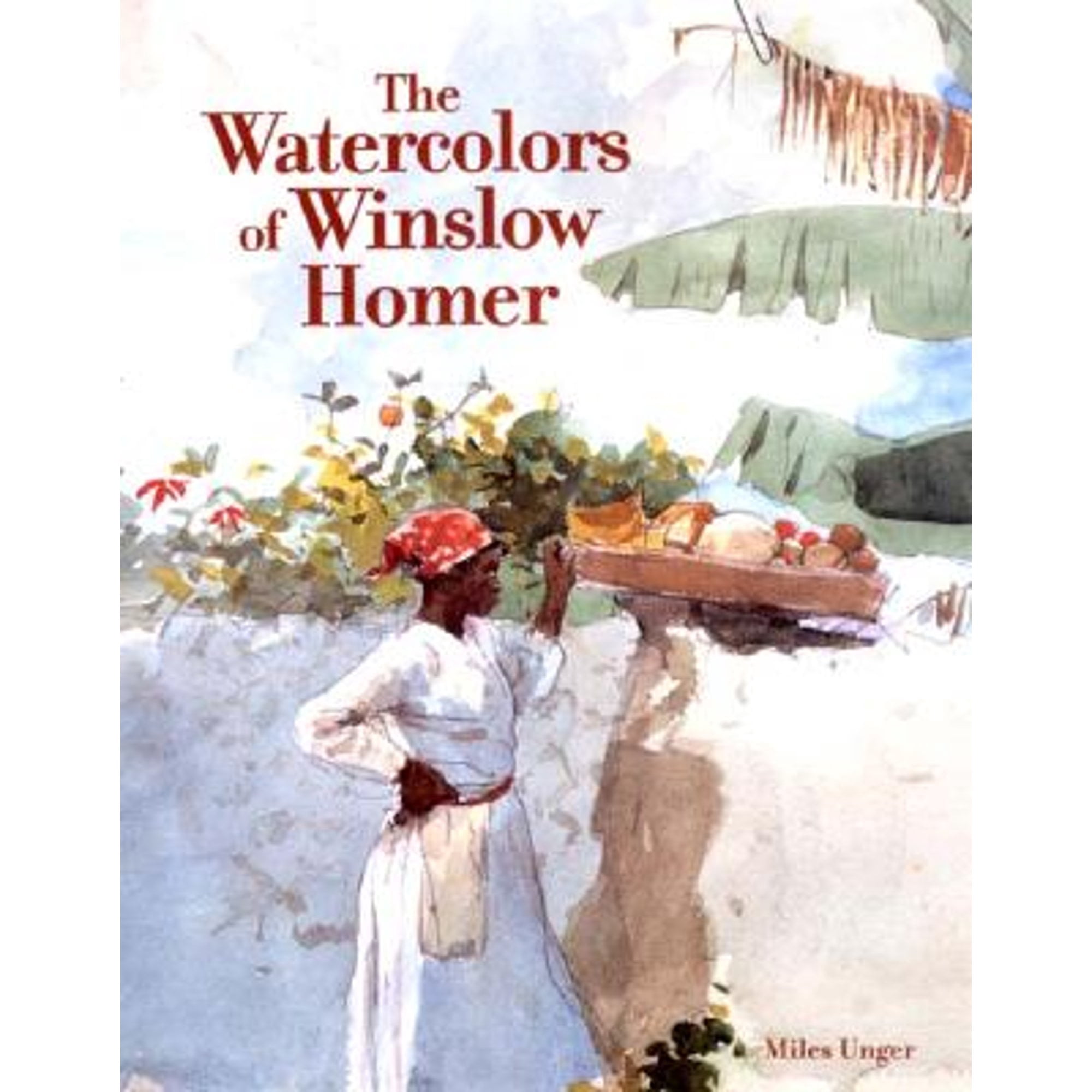 Pre-Owned The Watercolors of Winslow Homer (Hardcover) 0393020479 ...