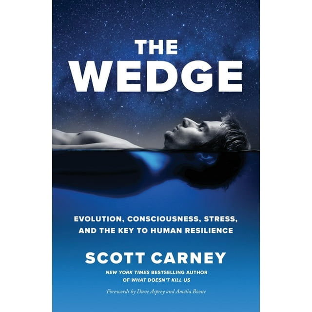 The Wedge, (Paperback) - Walmart.com