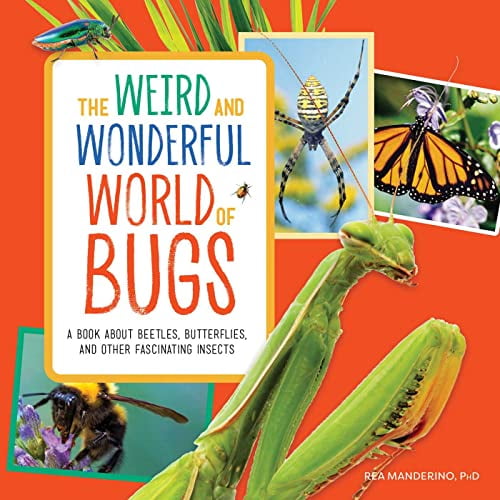 Pre-Owned The Weird and Wonderful World of Bugs: A Book about Beetles ...