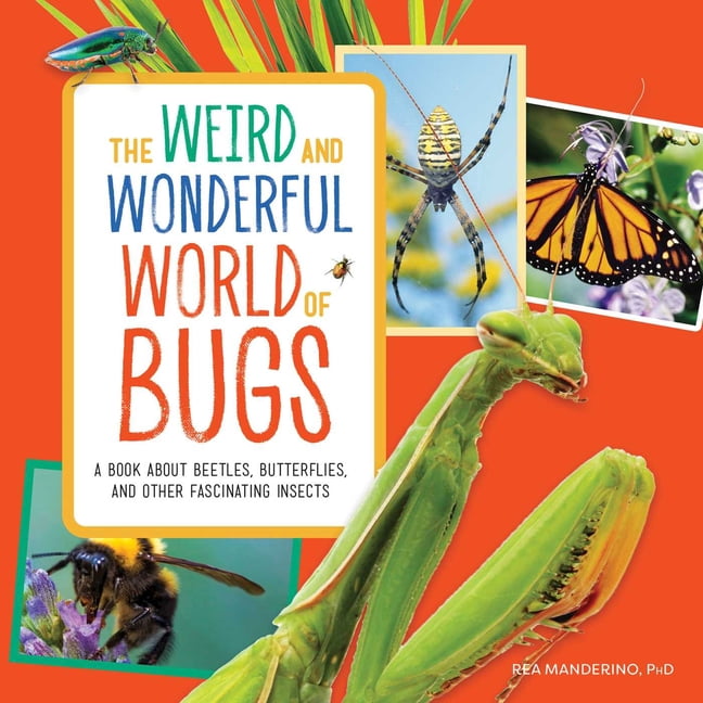 The Weird and Wonderful World of Bugs : A Book About Beetles ...