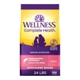 Wellness Complete Health Sensitive Skin and Stomach Dry Dog Food ...