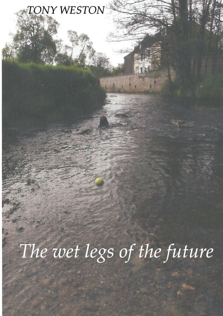 The Wet Legs of the Future, (Paperback) - Walmart.com