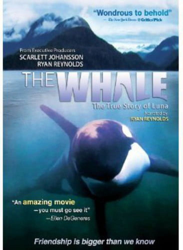 The Whale (DVD) - Walmart.com