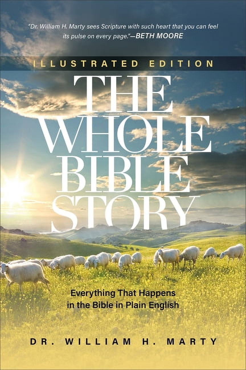 The Whole Bible Story, (Paperback) - Walmart.com