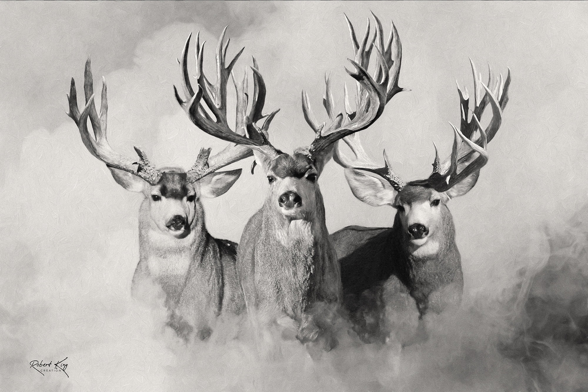 The Wild Bunch Light Mule Deer Print by Robert King, Mule Deer Trophy ...
