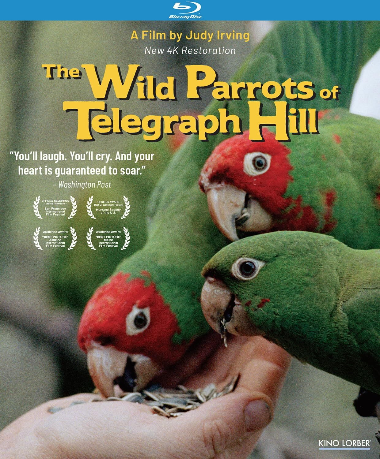 The Wild Parrots of Telegraph Hill - Walmart.com