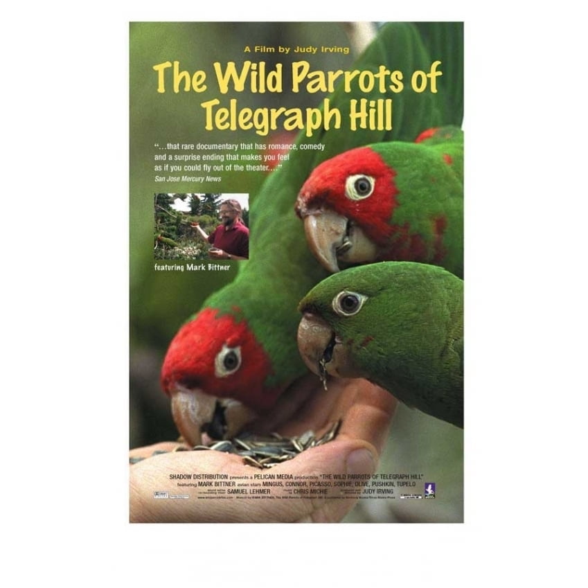 The Wild Parrots of Telegraph Hill Movie Poster (11 x 17) - Walmart.com