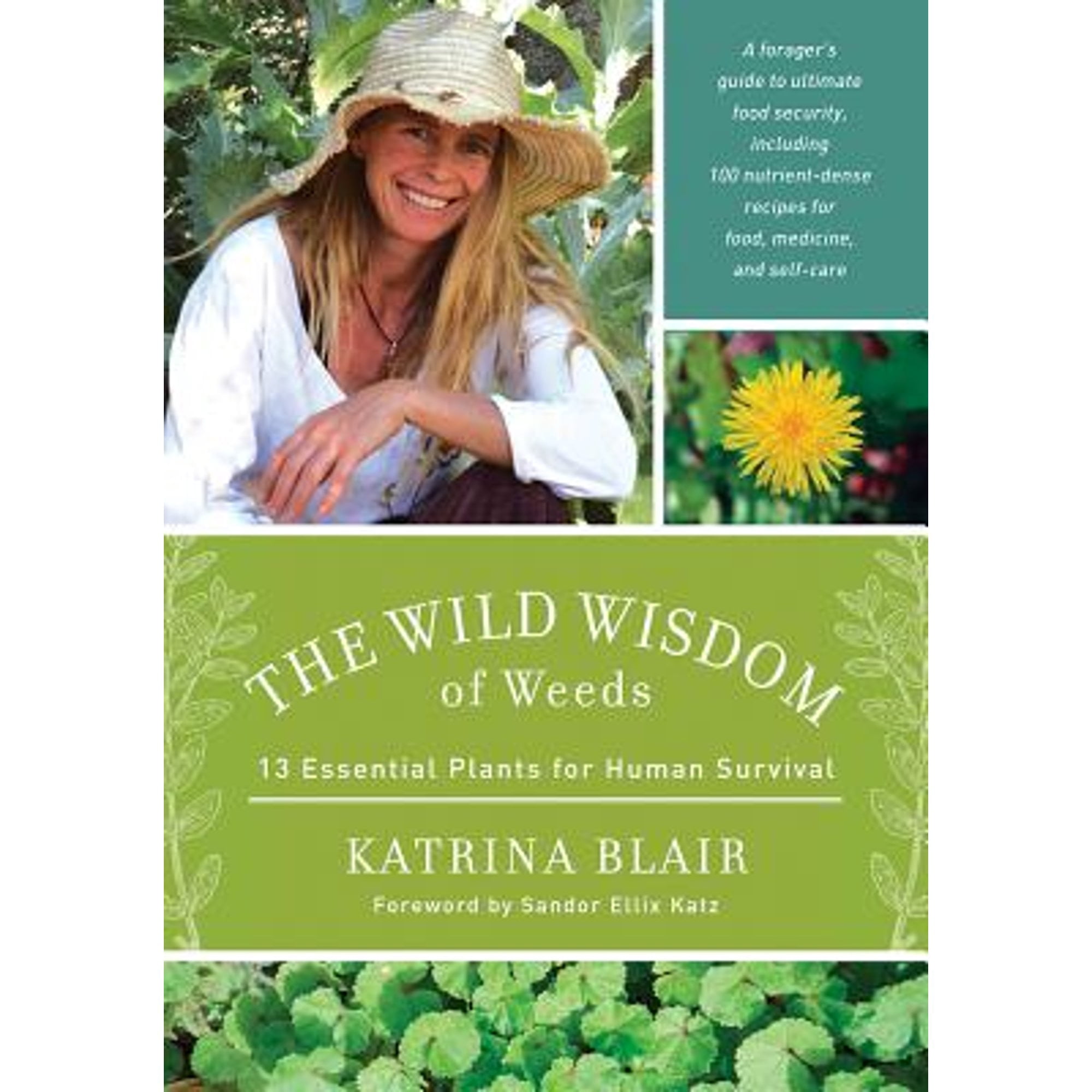 Pre-Owned The Wild Wisdom of Weeds: 13 Essential Plants for Human ...
