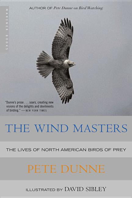 The Wind Masters (Paperback) - Walmart.com