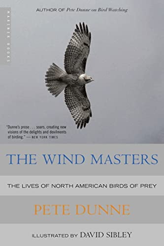 The Wind Masters (Paperback) - Walmart.com