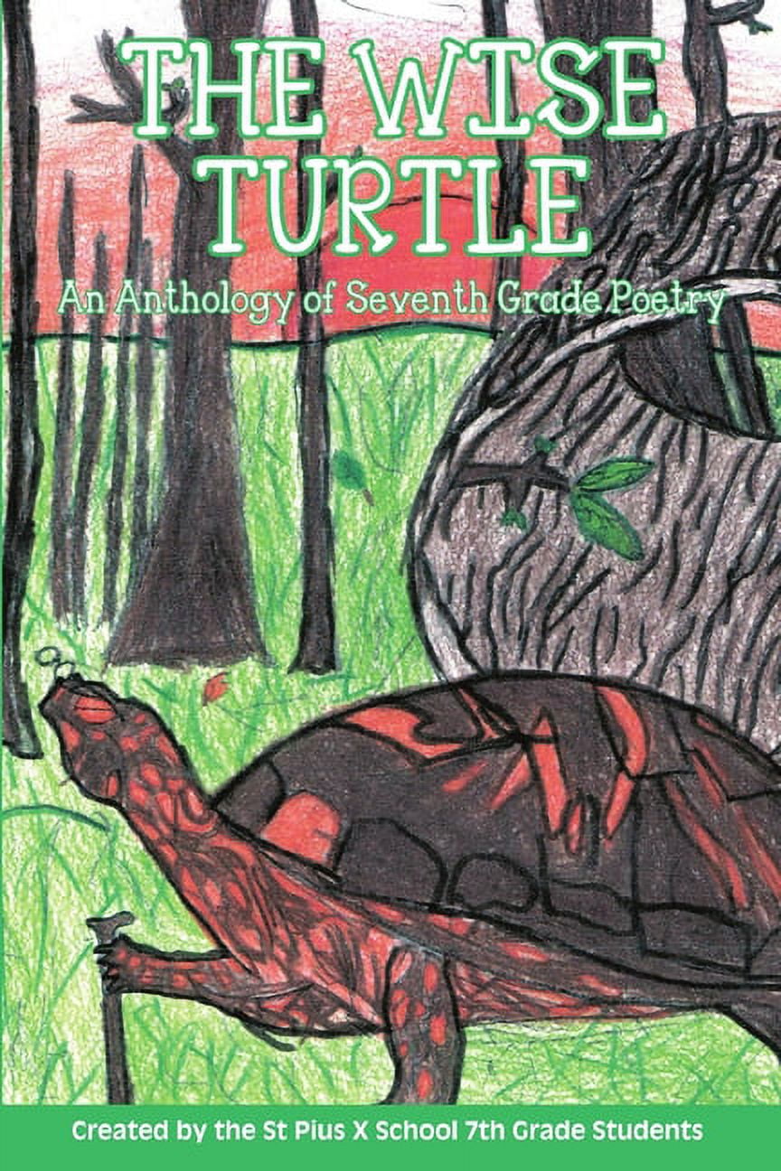 The Wise Turtle (Paperback) - Walmart.com