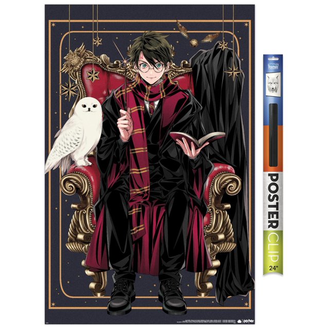 The Wizarding World: Harry Potter - Dynasty Harry Wall Poster, 22.375 ...