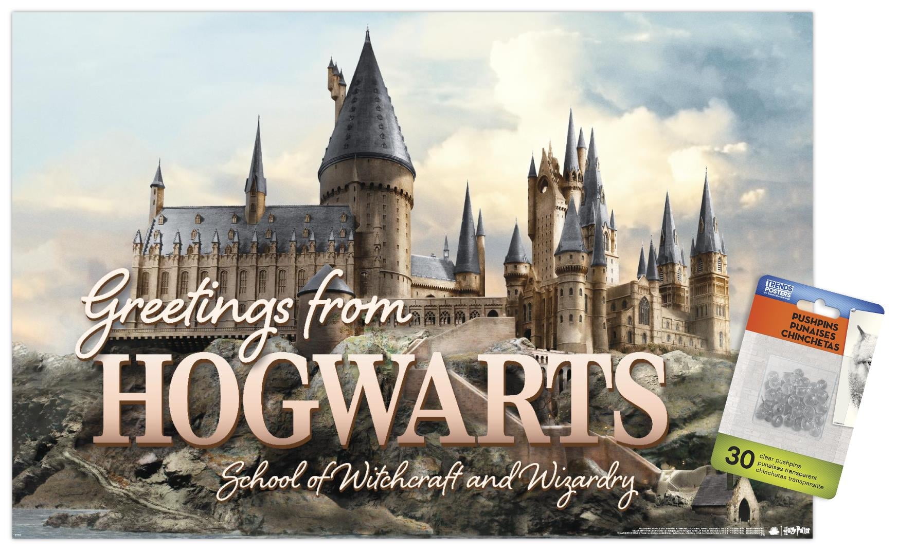 The Wizarding World: Harry Potter - Greetings From Hogwarts Wall Poster with Push Pins, 14.725 ...