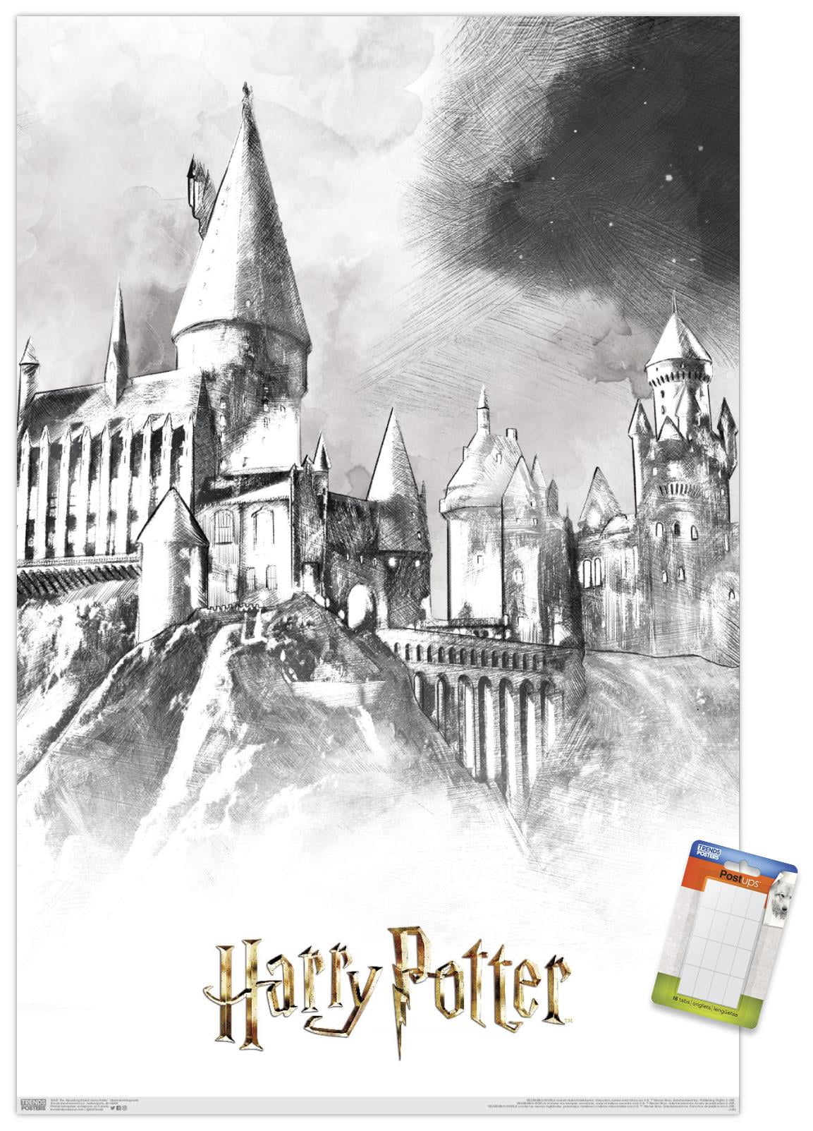 The Wizarding World: Harry Potter - Illustrated Hogwarts Wall Poster ...