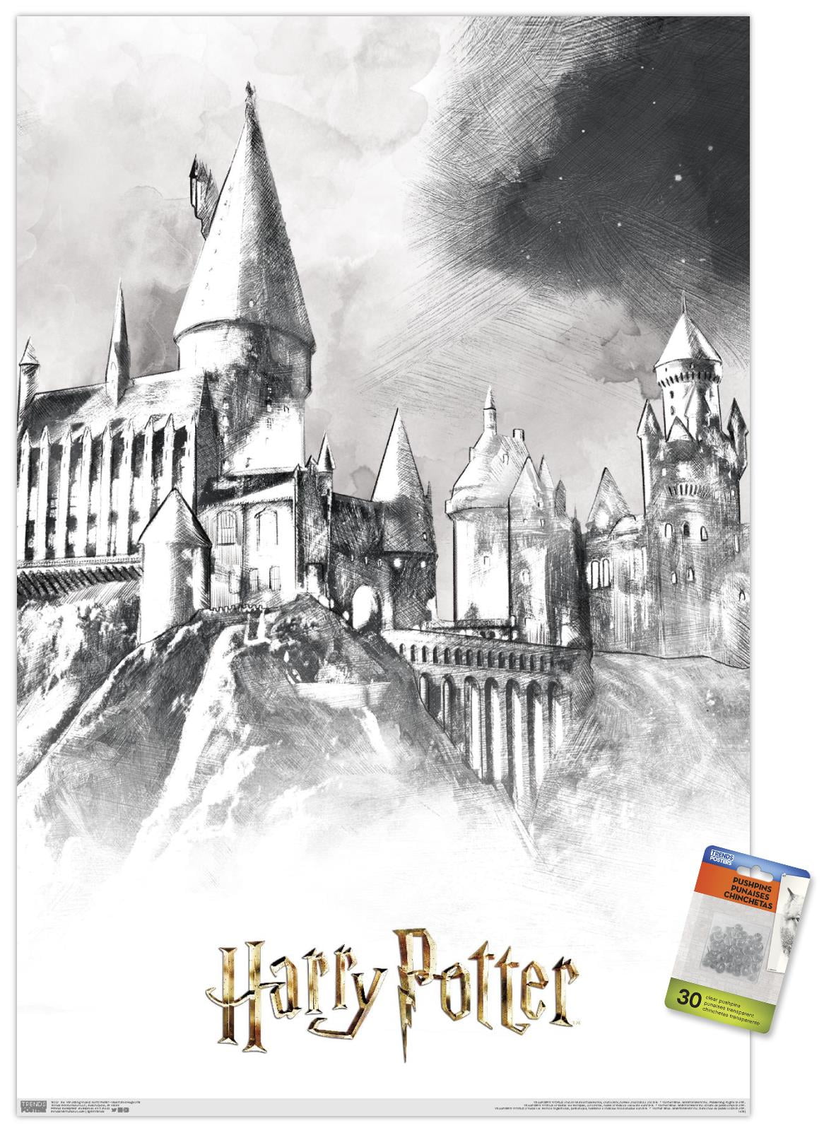 The Wizarding World: Harry Potter - Illustrated Hogwarts Wall Poster ...